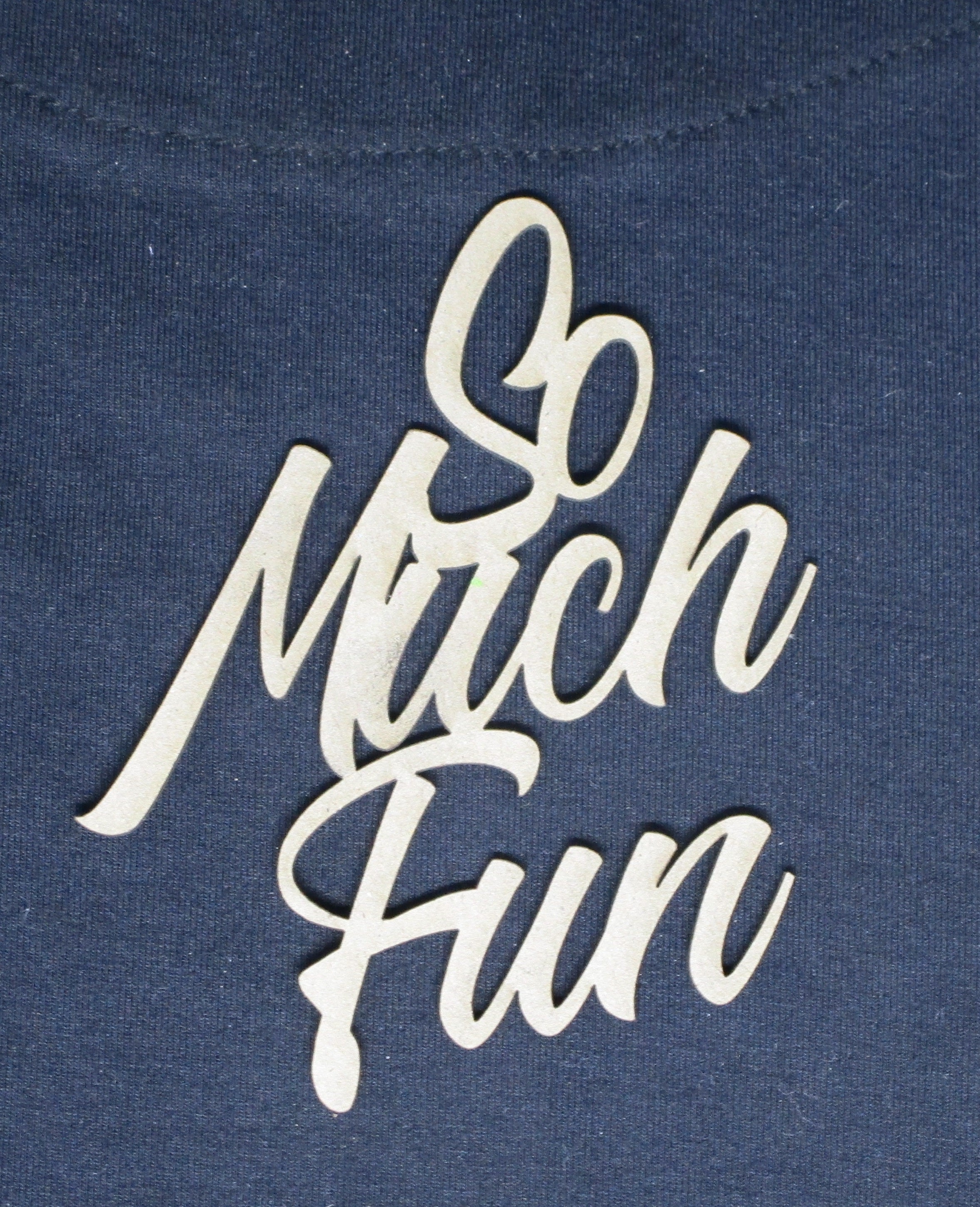 Chipboard Word So Much Fun