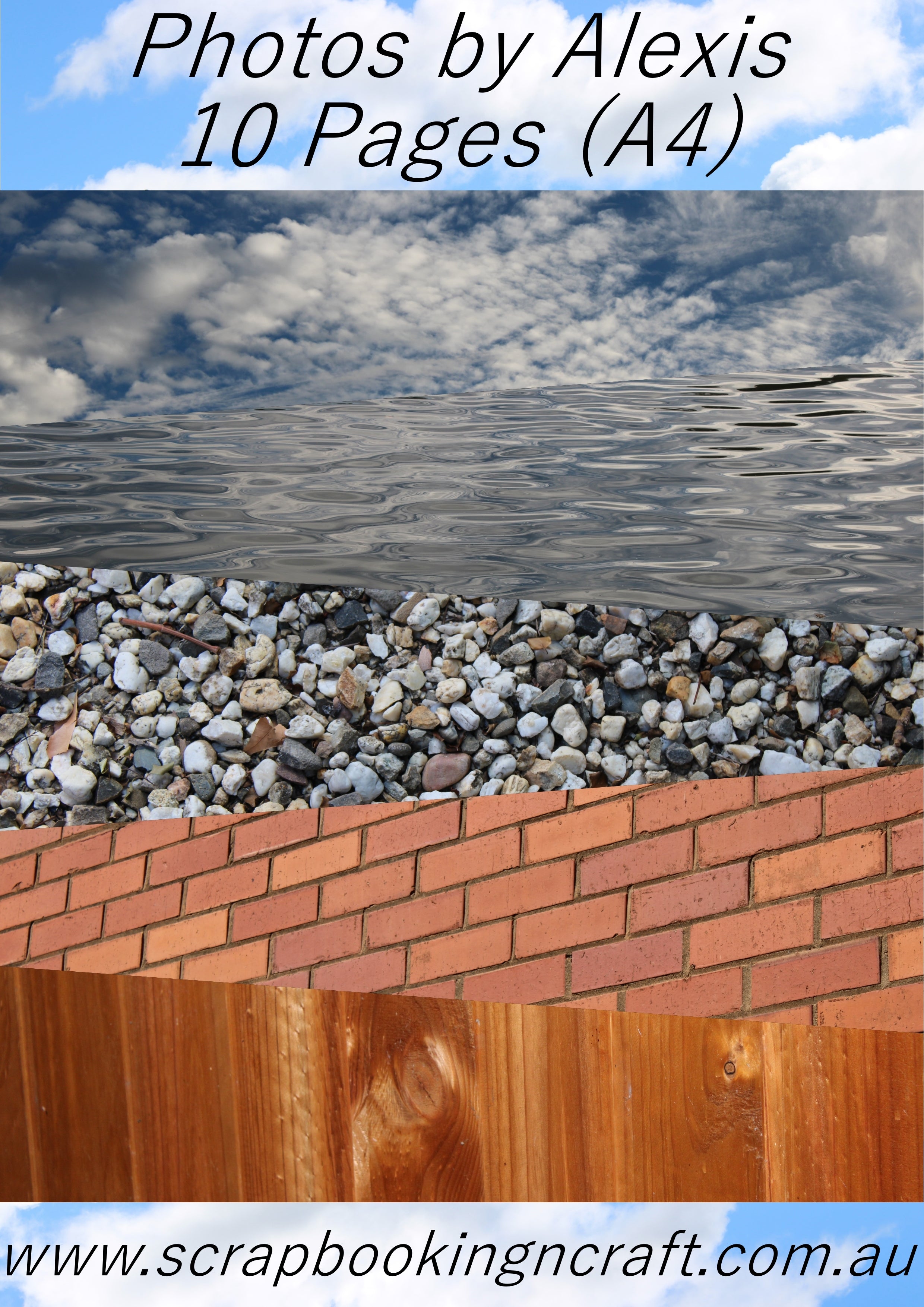 All Alexis Photos Prints and Digitals